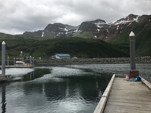 Introduction and History - CHAP Alaska